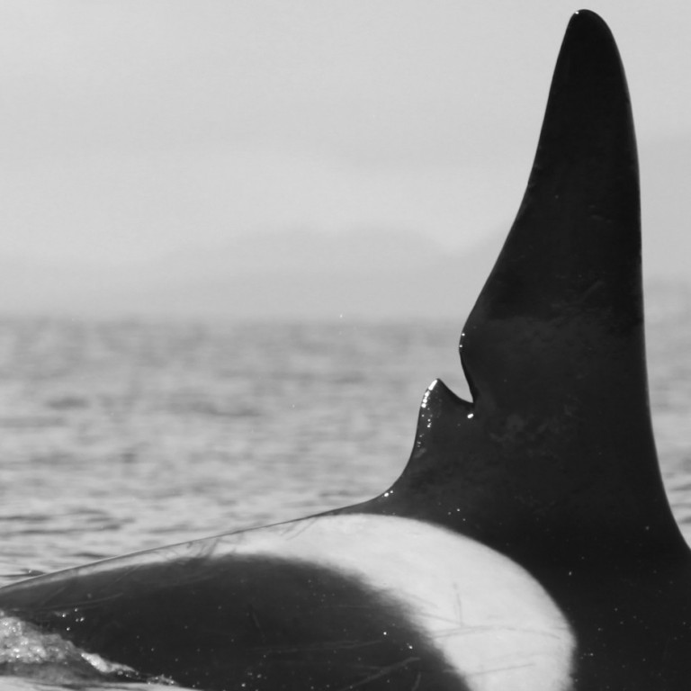 IS165 | Marine and Freshwater Research Institute