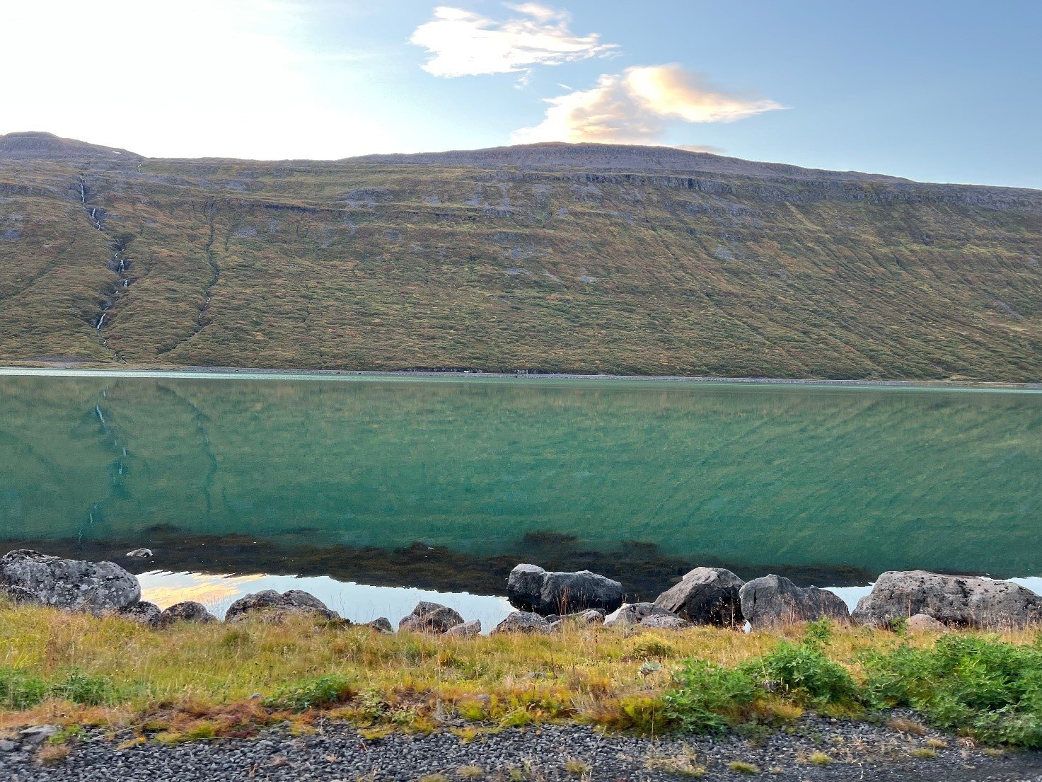 Coccolithophorid bloom in the Westfjords of Iceland | Marine and ...